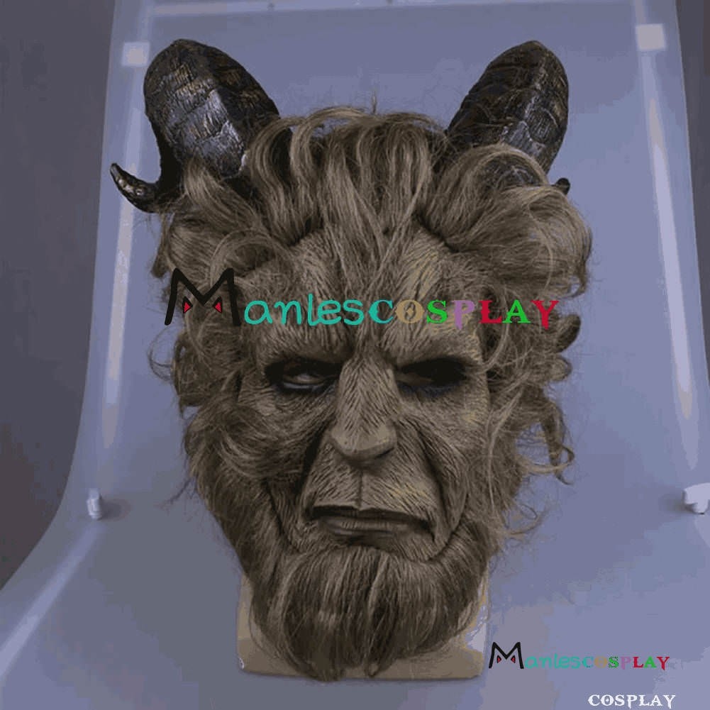 Cosplay Costume From Beauty and the Beast Prince Adam